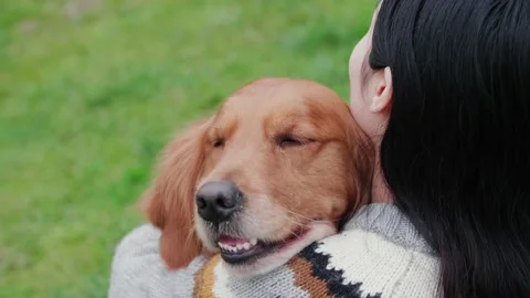 Backshots Dog Stock Videos – Royalty-Free HD & 4K Videos | Pond5