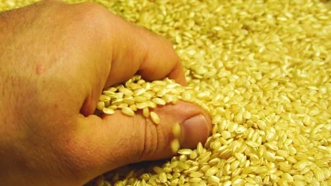 Let Hand Up Stock Videos – Royalty-Free HD & 4K Videos | Pond5