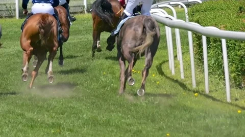 Close-up shot of muscular horse legs run... | Stock Video | Pond5