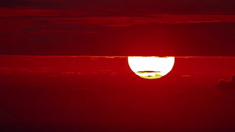 Close up shot of red sun rising through ... | Stock Video | Pond5