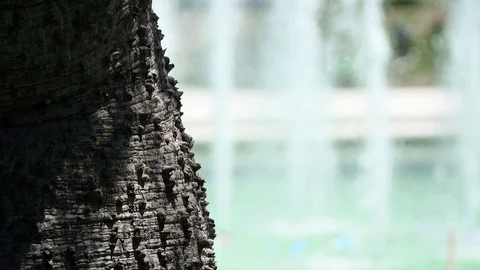 Close Up Floss Stock Videos – Royalty-Free HD & 4K Videos | Pond5