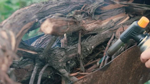 Coal Burner Woman Stock Video Footage | Royalty Free Coal Burner Woman ...