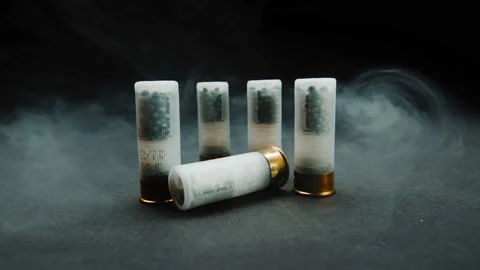 Rifle Shotgun Stock Footage ~ Royalty Free Stock Videos | Page 6