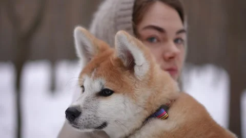 Close-up side view furry dog on shoulder... | Stock Video | Pond5