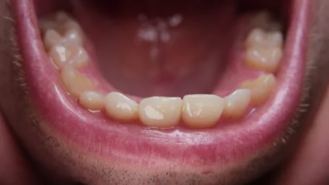 Mouths Broad Close Up Stock Footage ~ Royalty Free Stock Videos | Pond5