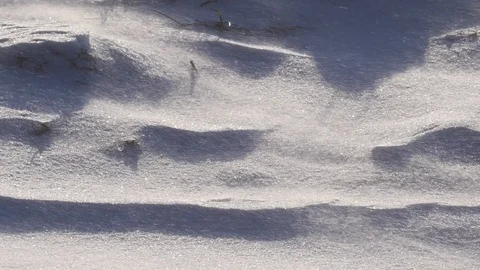 Close up of snow drifting across the gro... | Stock Video | Pond5
