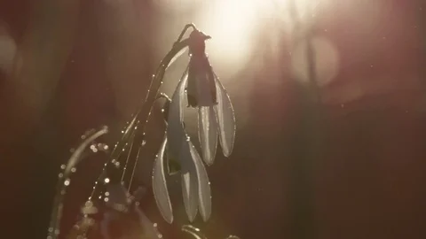 Shower Stock Footage ~ Royalty Free Stock Videos | Pond5