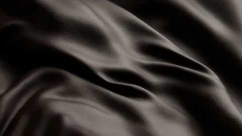 Ebony Stock Video Footage | Royalty Free Ebony Videos | Pond5