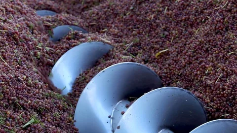 Up Season Stock Footage ~ Royalty Free Stock Videos | Pond5