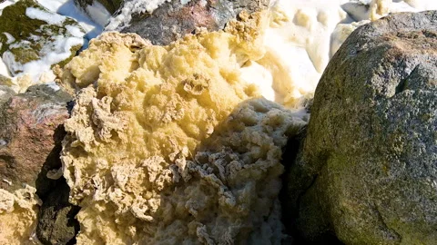 Close-up of spongy industrial yellow tox... | Stock Video | Pond5