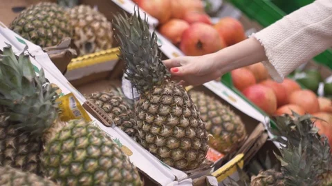 Choot Up P Stock Videos – Royalty-Free HD & 4K Videos