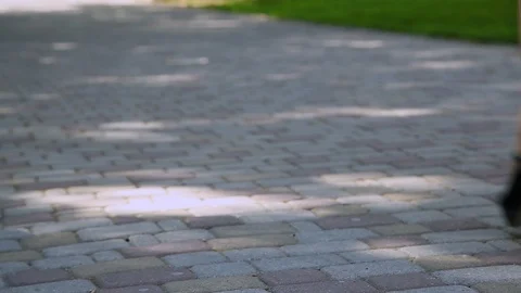 Two Feet Heels Stock Videos – Royalty-Free HD & 4K Videos | Pond5