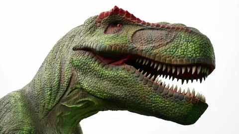 Close-up of a Tyrannosaurus Rex head sho... | Stock Video | Pond5