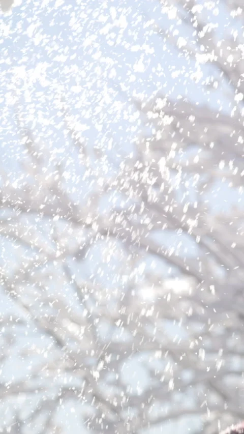 Girl Throw Blankets Stock Videos – Royalty-Free HD & 4K Videos | Pond5