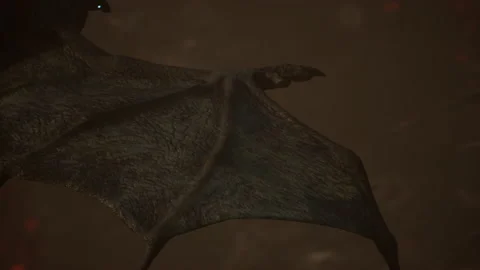 Close-ups and details of the irval drago... | Stock Video | Pond5