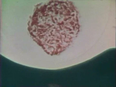 Close-ups of an artist's many prints are... | Stock Video | Pond5