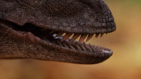 Close up of Velociraptor dinosaur's teet... | Stock Video | Pond5