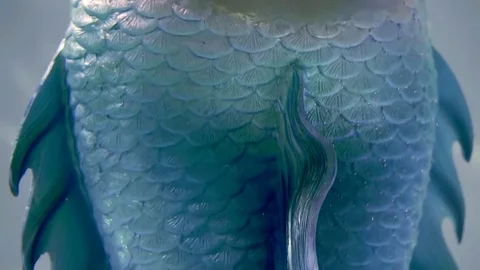 Mermaids Stock Video Footage | Royalty Free Mermaids Videos | Pond5