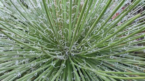 Long Ball Stock Videos – Royalty-Free HD & 4K Videos