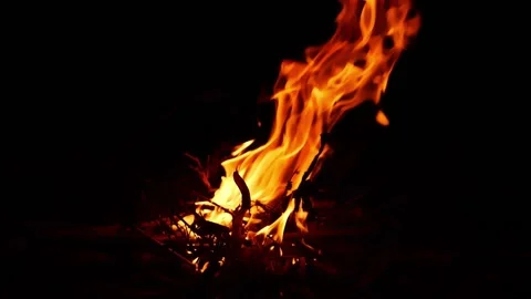 Close-up view of fire flames, Burning wo... | Stock Video | Pond5