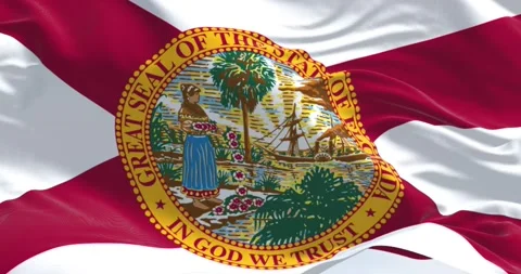 Close-up view of the Florida state flag ... | Stock Video | Pond5