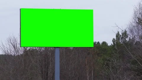 Forest Green Screen Stock Video Footage | Royalty Free Forest Green ...