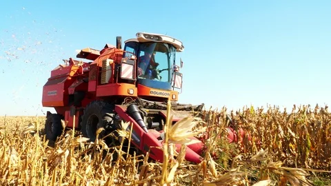 close up, View of harvesting process of ... | Stock Video | Pond5