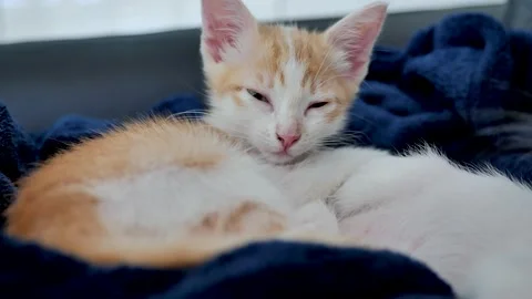 Again Falling Stock Videos – Royalty-Free HD & 4K Videos