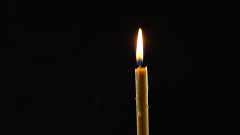 Burning Bush Church Stock Videos – Royalty-Free HD & 4K Videos | Pond5