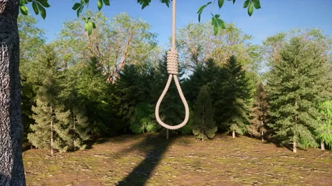 Hangman Noose Stock Videos – Royalty-Free HD & 4K Videos