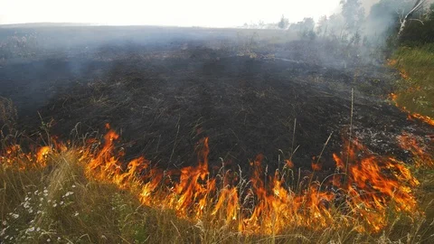 Close up view of wildfire, spreading fla... | Stock Video | Pond5