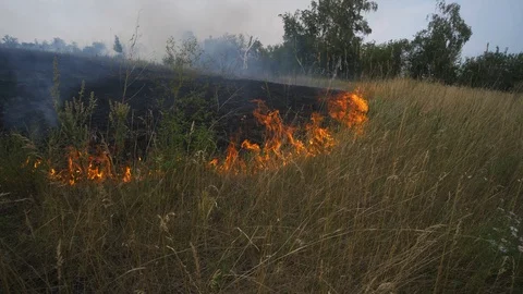 Close up view of wildfire, spreading fla... | Stock Video | Pond5
