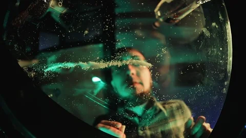 Snorting Stock Footage ~ Royalty Free Stock Videos | Pond5