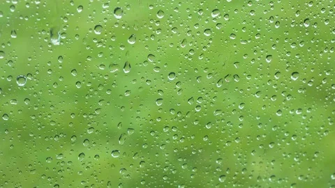 Wet@N1234Emi Stock Videos – Royalty-Free HD & 4K Videos