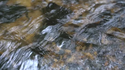 Close-up of the water flow in the river,... | Stock Video | Pond5