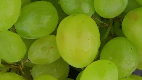 Close-up of white grapes. White grapes w... | Stock Video | Pond5