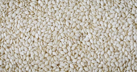 Sesame Pattern Stock Videos – Royalty-Free HD & 4K Videos