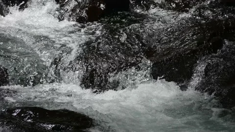 Stream River Rushing Stock Video Footage | Royalty Free Stream River ...