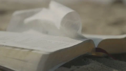 Close-up of Wind Flipping Pages of Bible... | Stock Video | Pond5