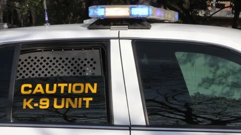 Close Up Windows Of Police K9 Unit Car F... | Stock Video | Pond5