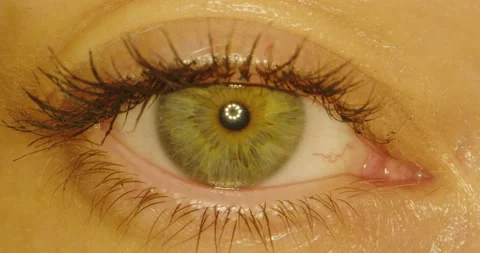Close up of woman girl eye with long eye... | Stock Video | Pond5