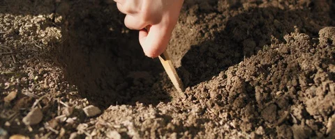 Close up of a woman's hand digging soil ... | Stock Video | Pond5