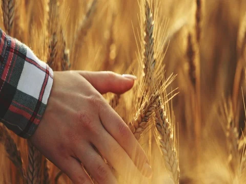 Close-up of Woman's Hand Running Through... | Stock Video | Pond5
