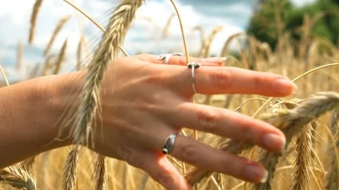 Close-up of of Woman's hand running thro... | Stock Video | Pond5