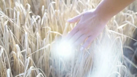 Close-up of woman's hand running through... | Stock Video | Pond5