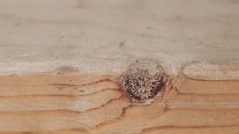 Texture Cut Up Stock Videos – Royalty-Free HD & 4K Videos