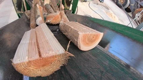 Logging Company Stock Footage ~ Royalty Free Stock Videos | Pond5