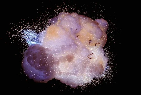 Zero Gravity Explosion Stock Videos – Royalty-Free HD & 4K Videos