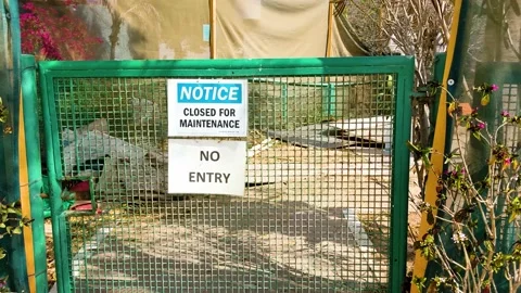 Con Caution Stock Videos – Royalty-Free HD & 4K Videos | Pond5