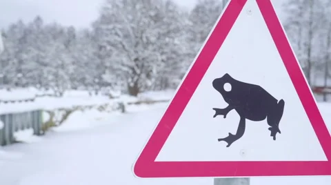 Closer look of the frog sign on the lawn | Stock Video | Pond5